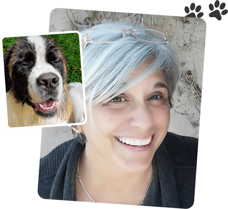 Animal AssistedTherapy in North West Indiana | Animal Assisted Counseling