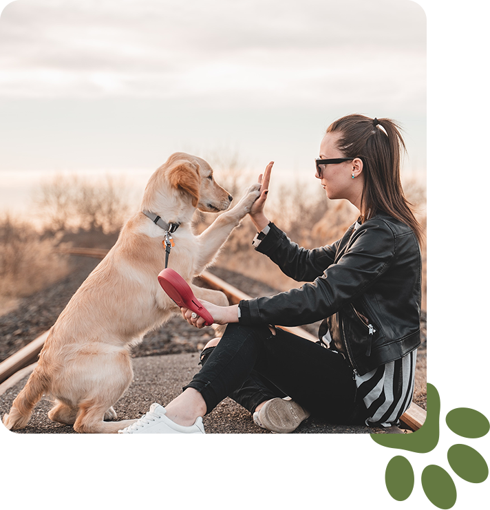 Teen Therapy in Chicago, IL & NWI | Animal Assisted Counseling