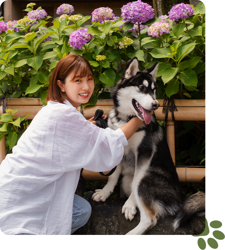 Animal Assisted Therapy for Emotional Support & Healing