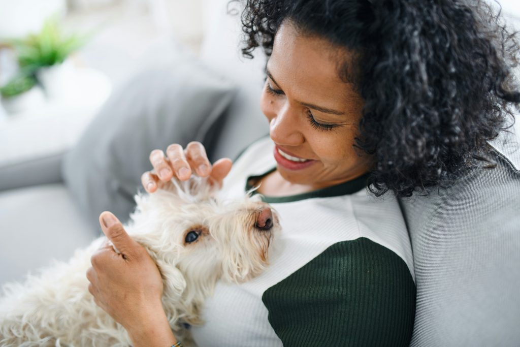Emotional Support With Therapy Dogs - Animal Assisted Counseling Of ...