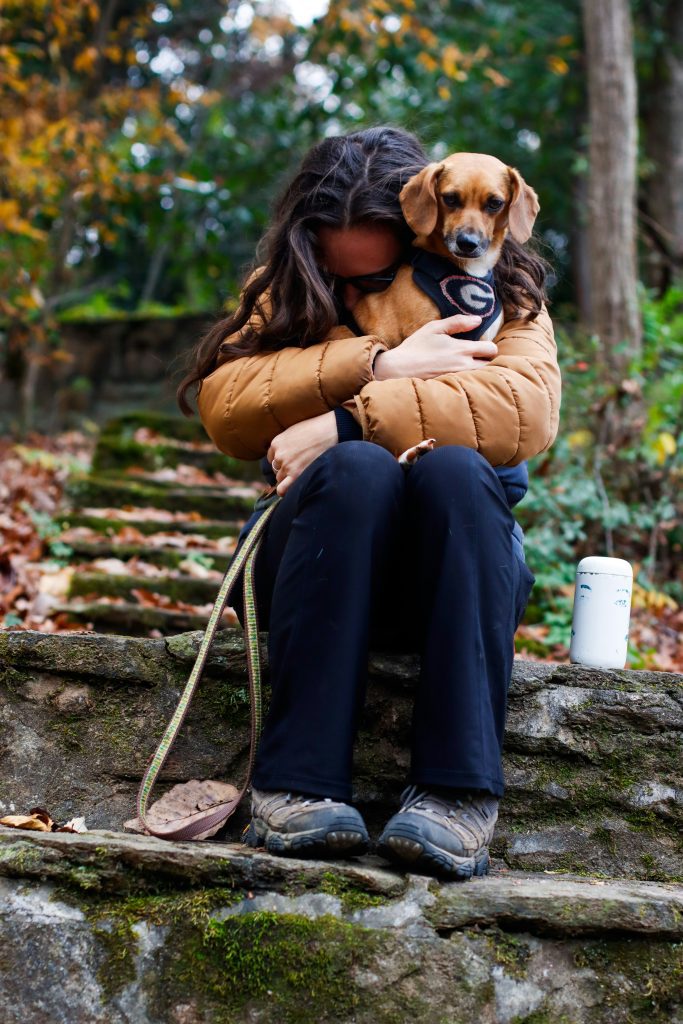 Therapy Animals and Emotional Regulation - Animal Assisted Counseling ...