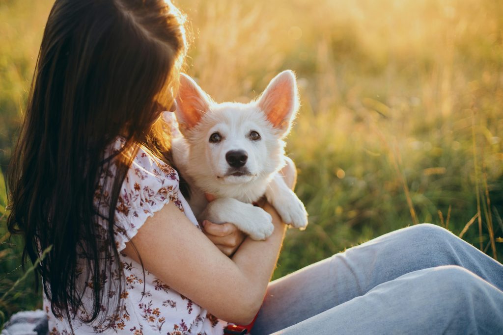 How are Therapy Animals and Emotional Regulation related?