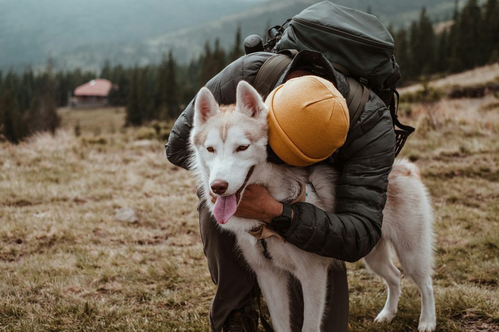 Emotional Resilience Tools - Animal Assisted Counseling Of North West ...
