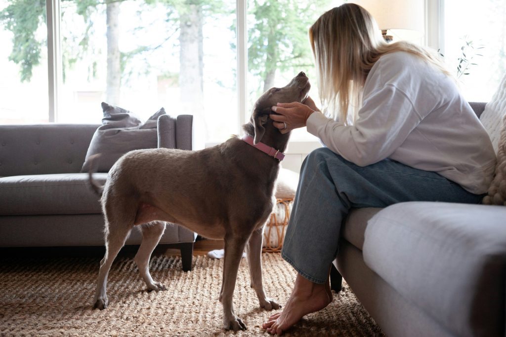 5 Ways Therapy with Animals Reduce Stress - Animal Assisted Counseling ...